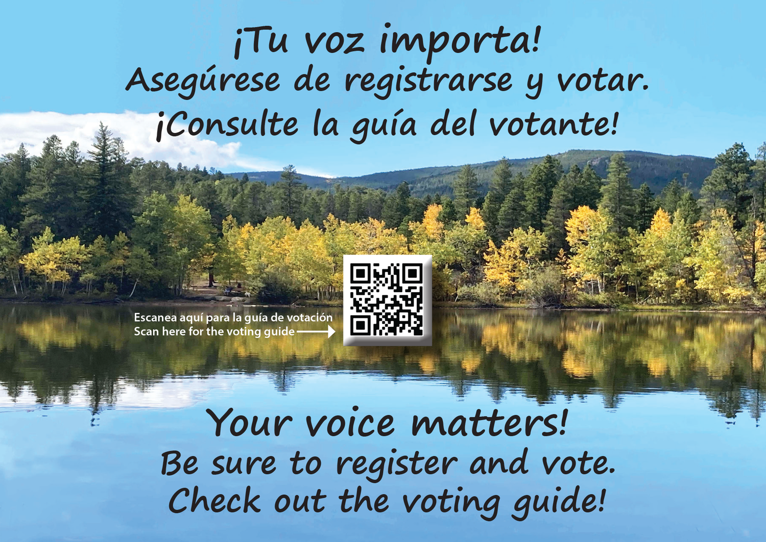 Do Postcards Work? – Blue Wave Postcard Movement