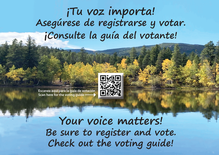 Do Postcards Work? – Blue Wave Postcard Movement